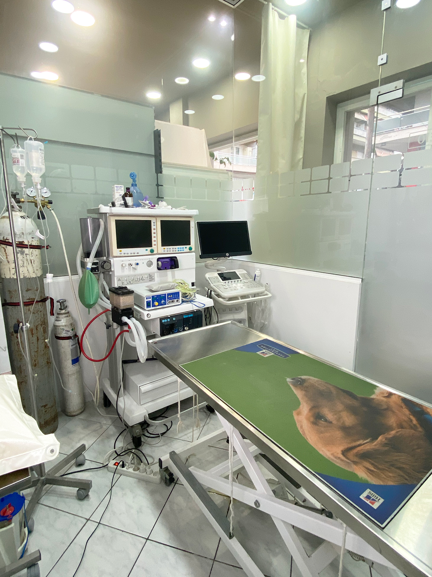 Απαιτητικά Χειρουργεία Ζώων | Κτηνιατρείο Θεσσαλονίκη