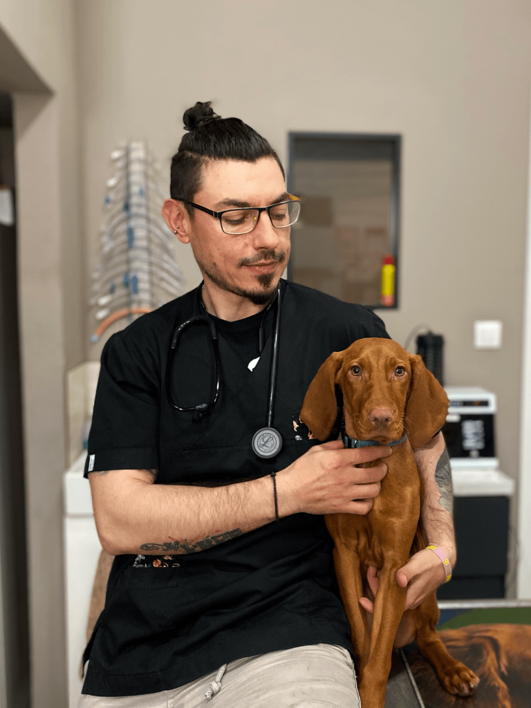 Κτηνιατρείο Θεσσαλονίκη|Η ομάδα στην κτηνιατρική κλινική μας